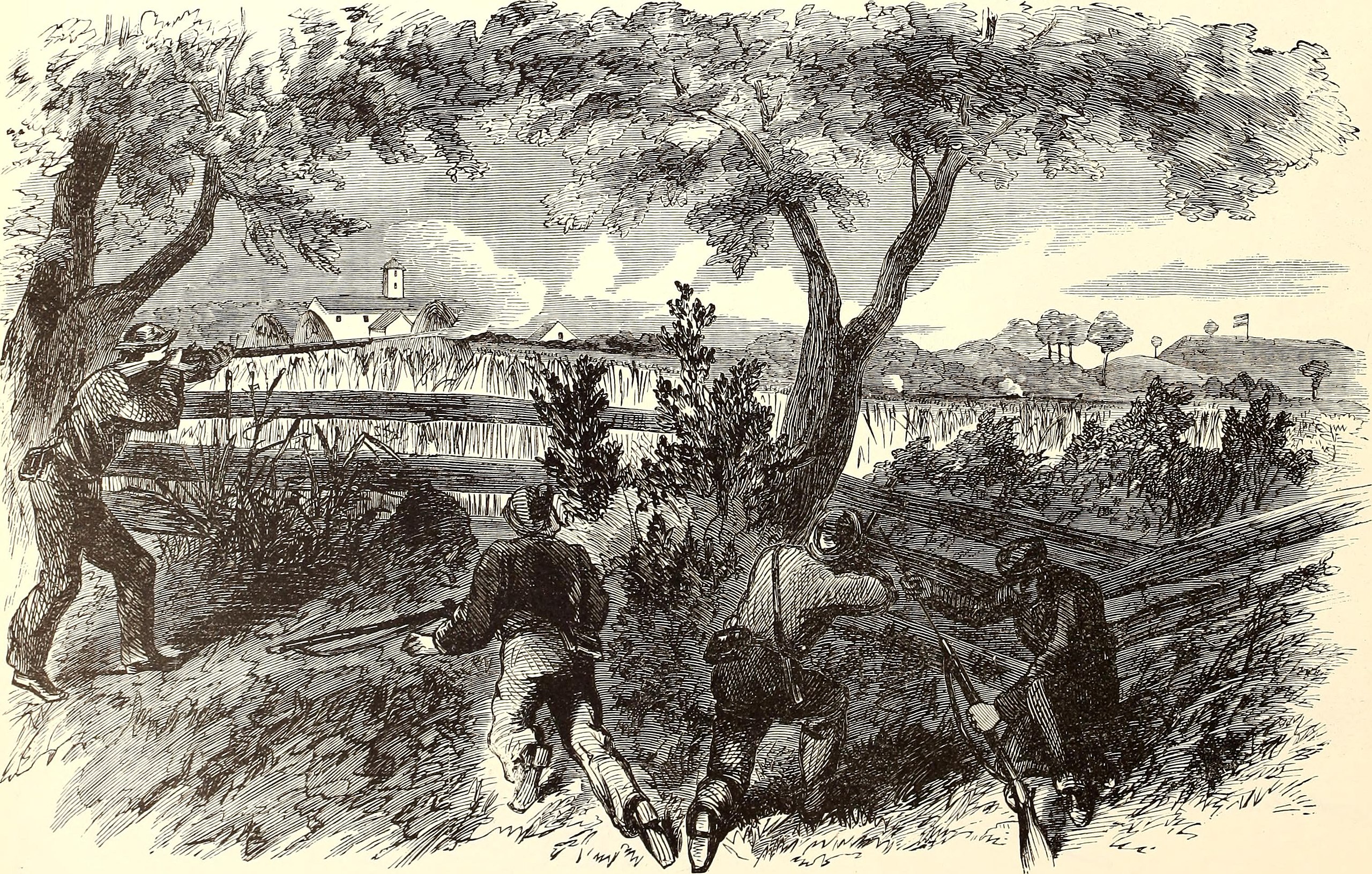 127th New York Infantry | Spared & Shared 23