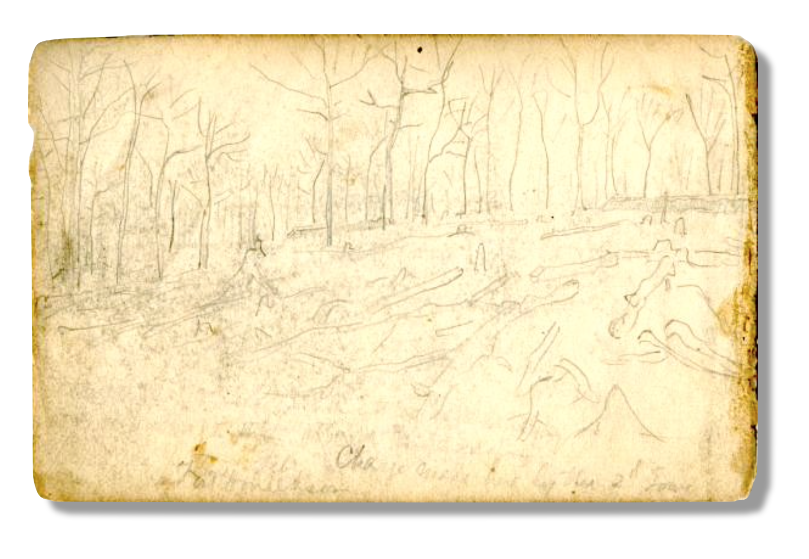 1862: Aaron Masterson Colliver to Andrew Colliver | Spared & Shared 23