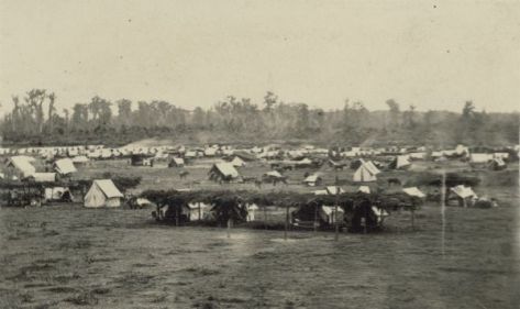 The 1864 Civil War Diary of William H. Hogan, 4th Wisconsin Cavalry ...