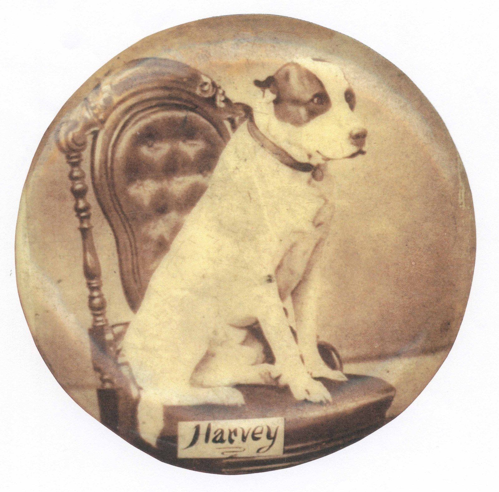 1864: Isaac Zeigler to Elizabeth (Zeigler) Crum | Spared & Shared 23